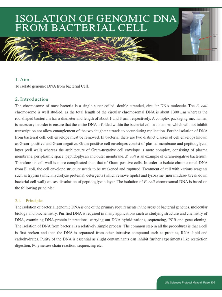Isolation Of Genomic Dna Practical Protocols Pdf