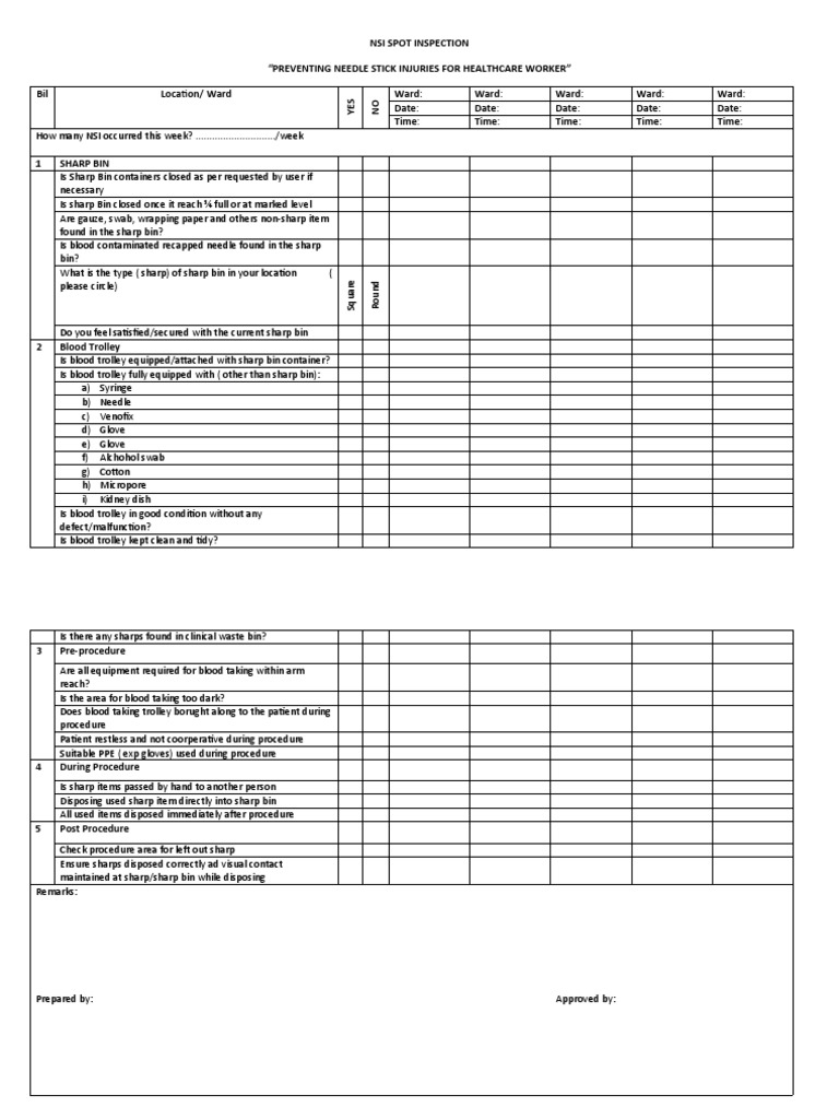 Nsi Spot Inspection | PDF