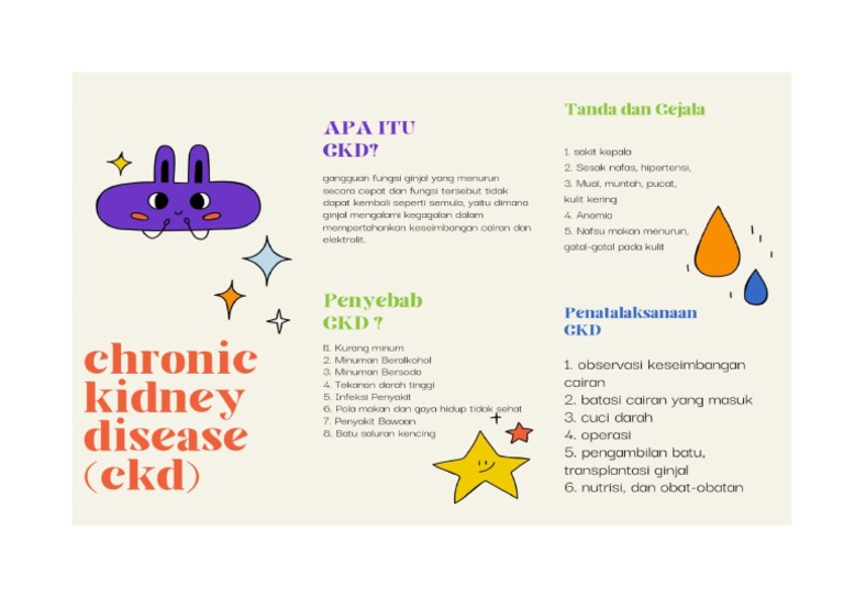 Leaflet CKD | PDF