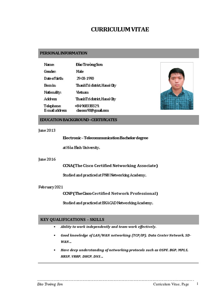 CURRICULUM VITAE - Dao Truong Son | PDF