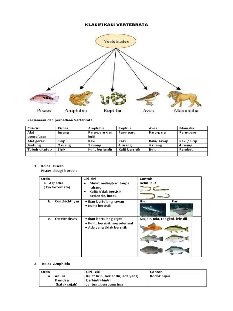 Klasifikasi Vertebrata | PDF