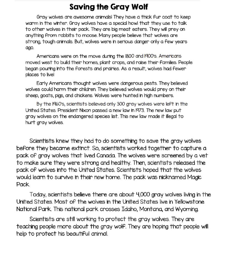 Saving The Gray Wolf | PDF