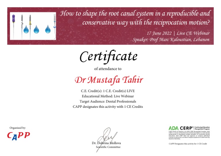 Capp Certificate | PDF