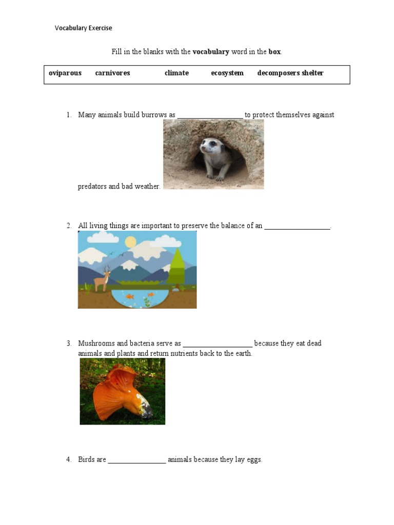 Vocabulary Fill-in-the-Blank Exercise | PDF | Home & Garden