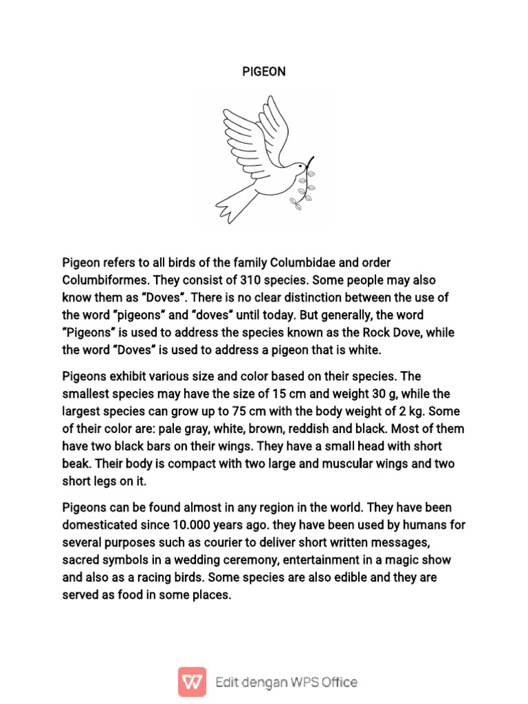 PIGEON-WPS Office | PDF