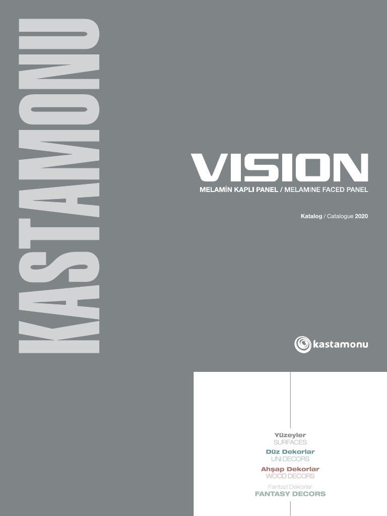 Vision | PDF