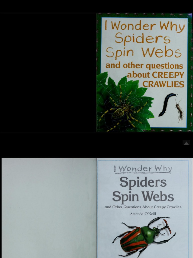 I Wonder Why Spiders Spin Webs | PDF