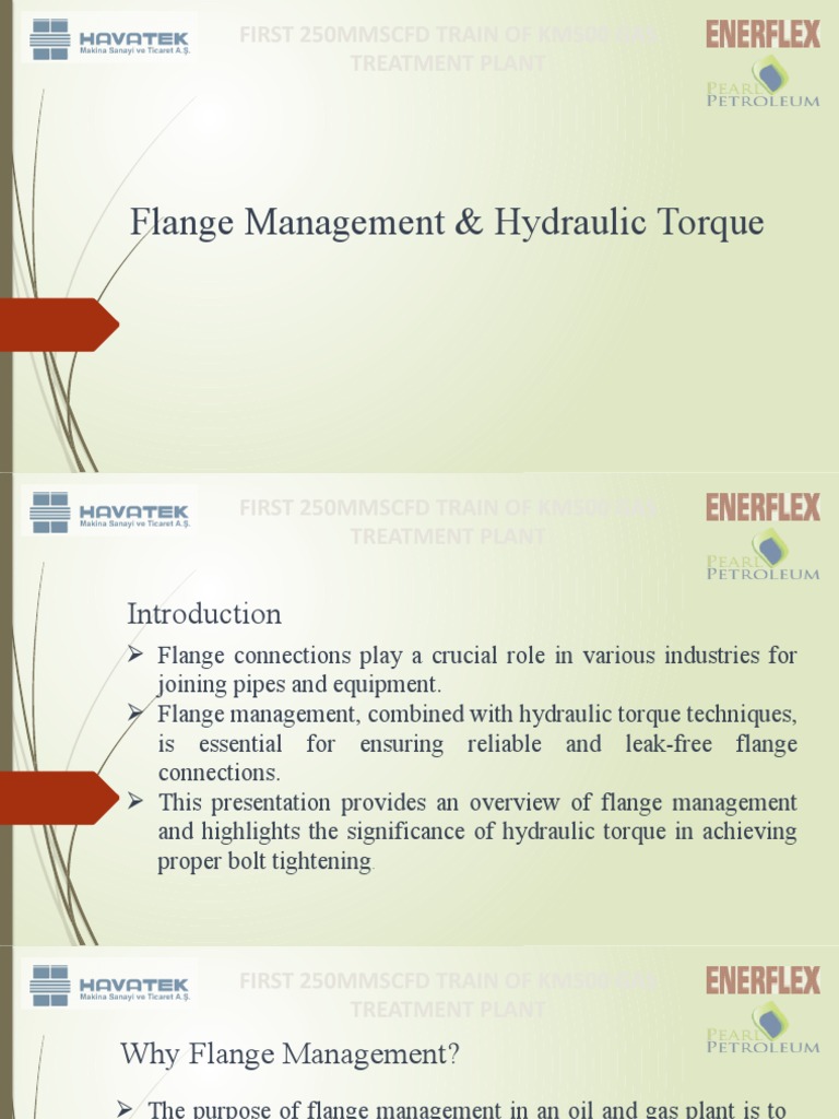 Flange Management Hydraulic Torque | PDF