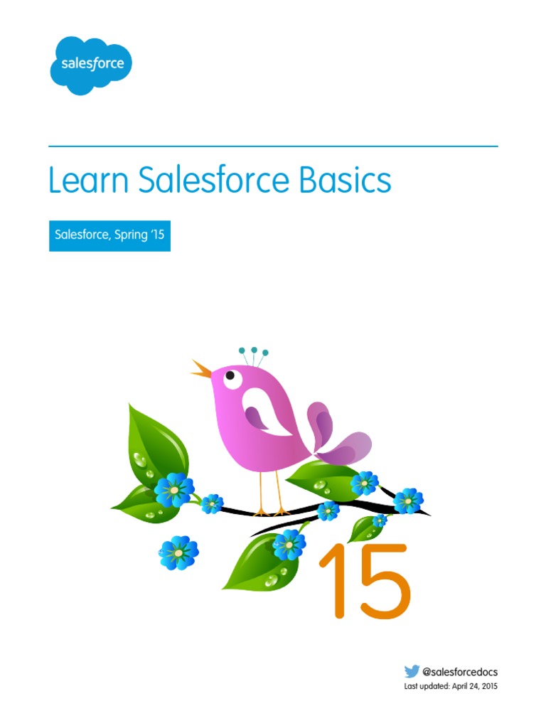 10 - Salesforce CRM Basics | PDF