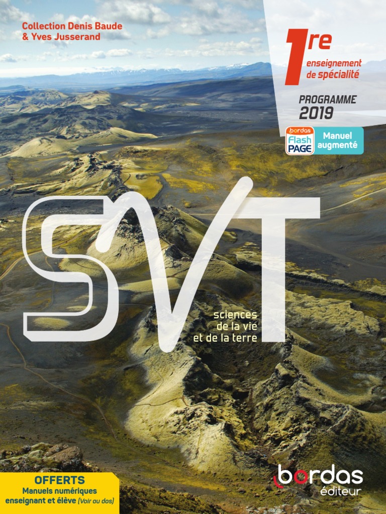 Bordas SVT | PDF