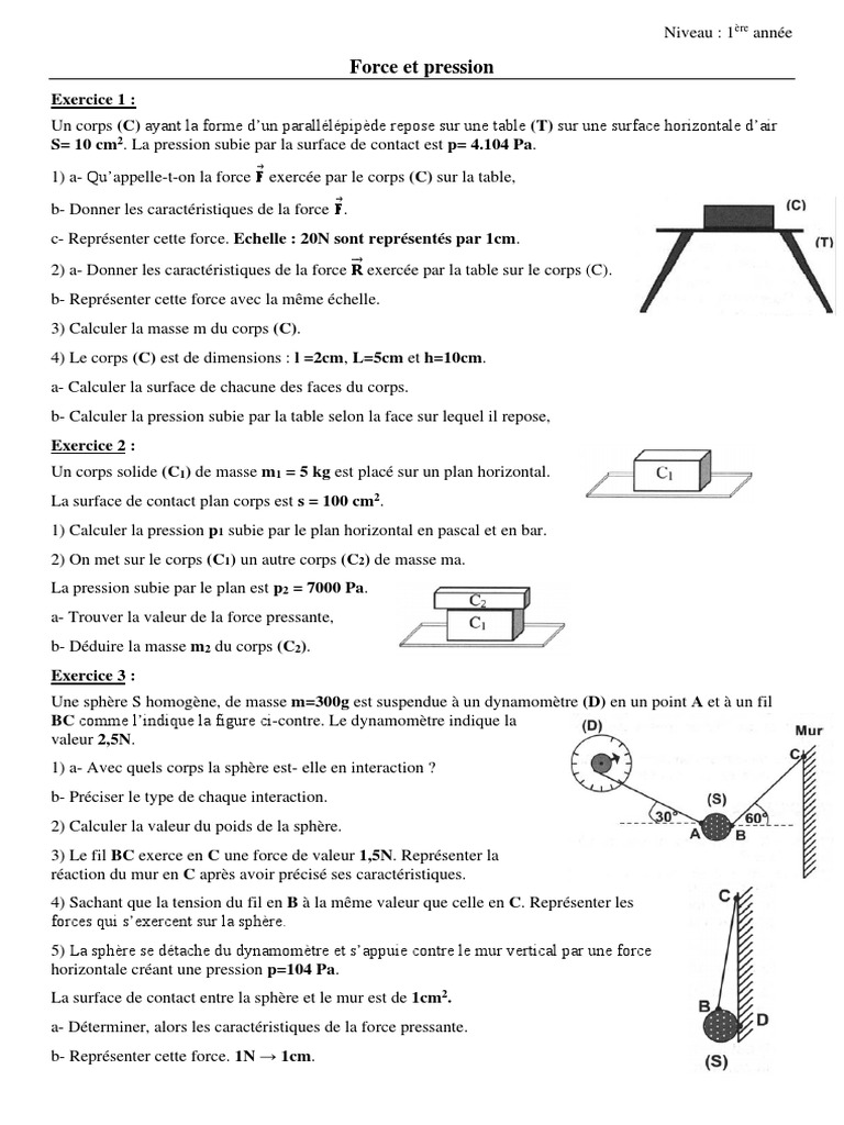 Force Et Pression | PDF