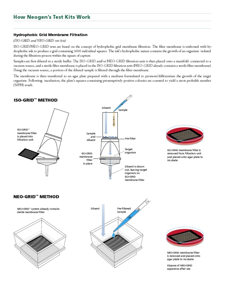 Como Funciona ISO Grid | PDF | Filtration | Analytical Chemistry