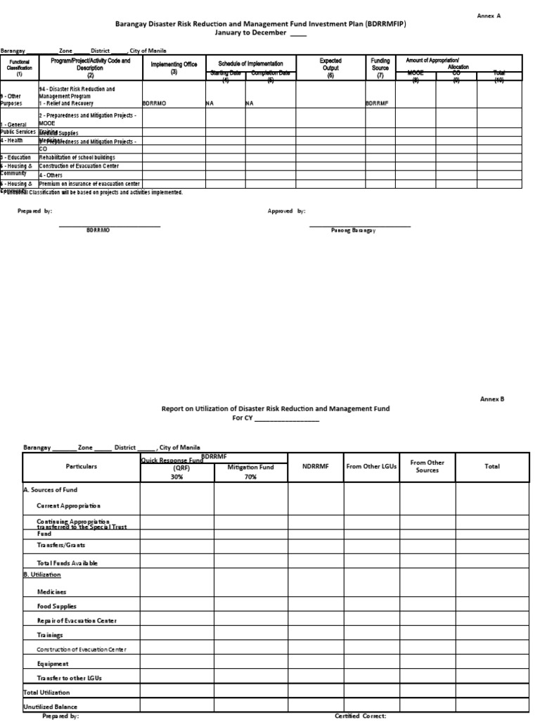 BDRRM Fund Investment Program (BDRRMFIP) | PDF
