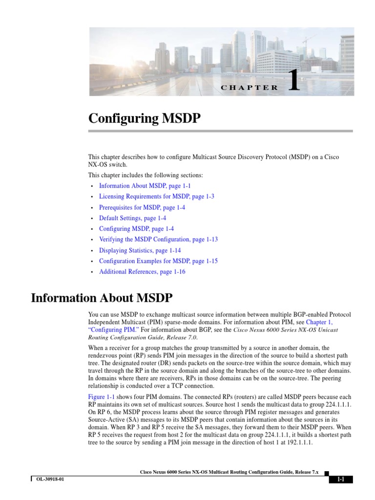Configuring MSDP | PDF