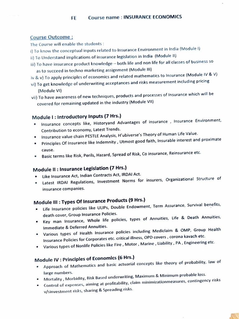 Insurance Economics Course Overview | PDF
