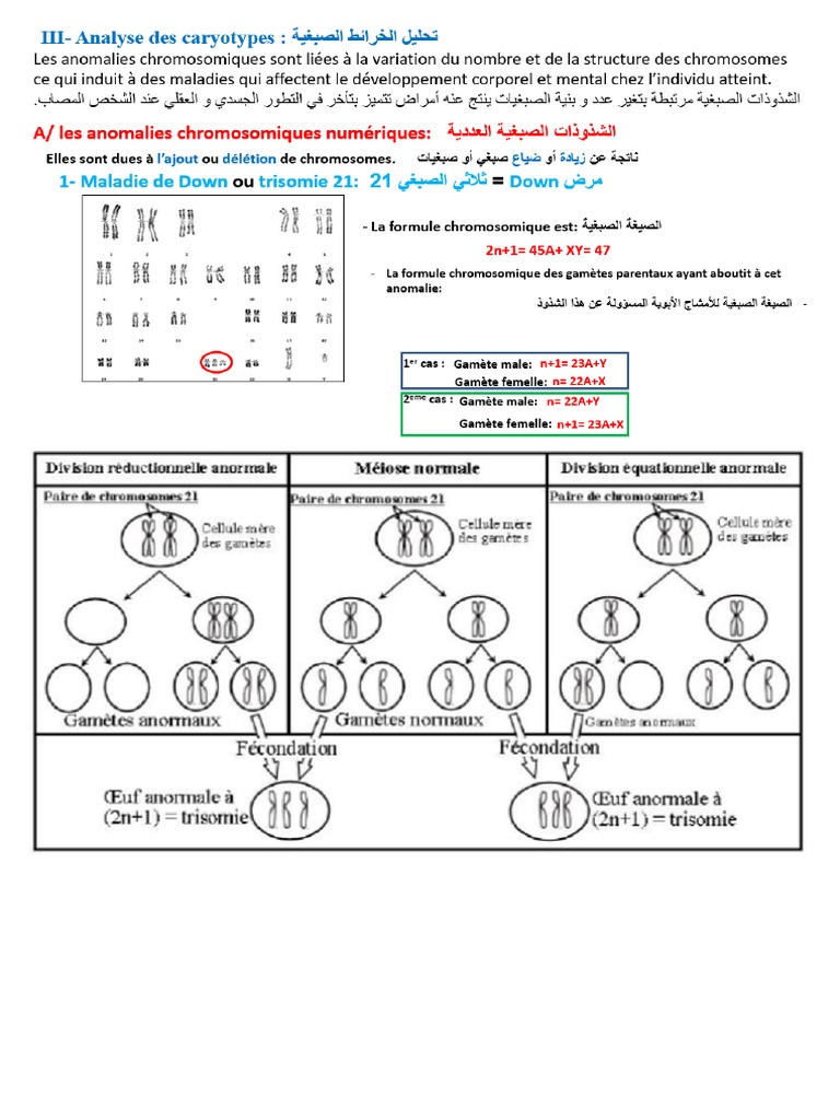 Cours7 Prepa MD | PDF