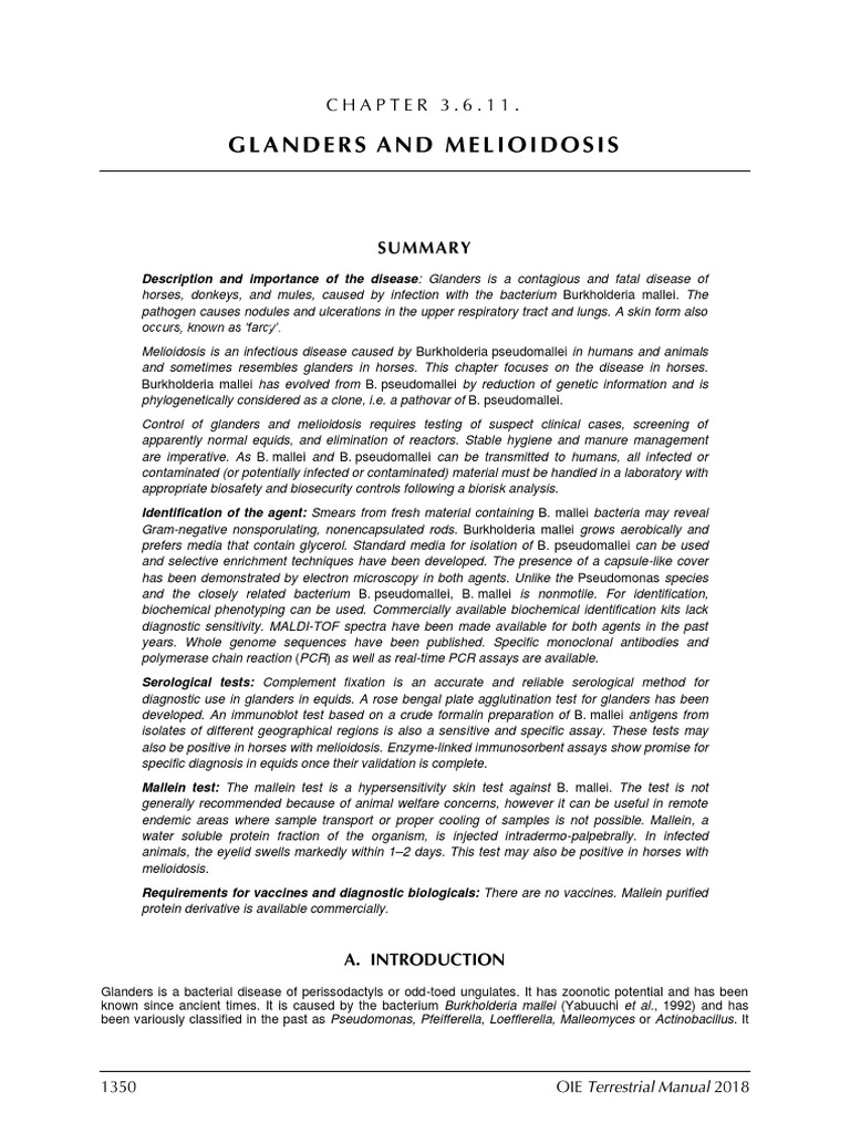3.06.11 Glanders | PDF
