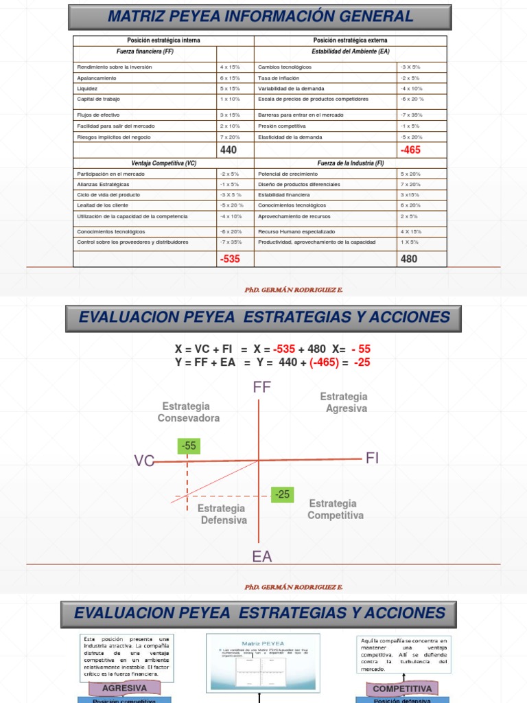 Actividad 2 Ejemplos de Matriz Peyea | PDF