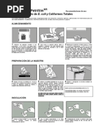 Equivalencia NMP UFC | PDF