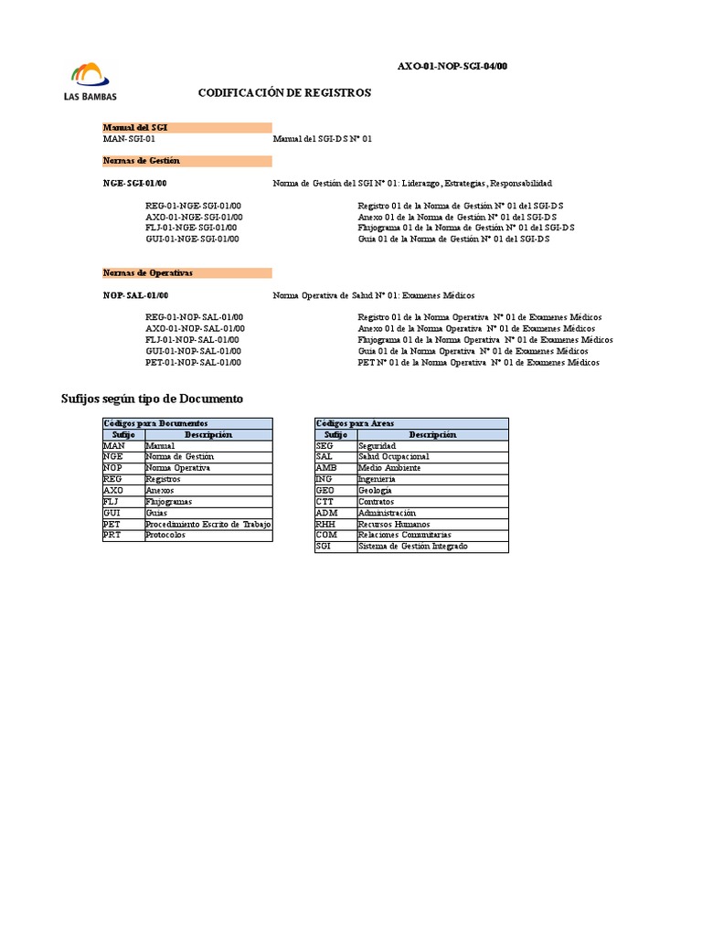 AXO-01-NOP-SGI-04-00 Codificacion Registros | PDF