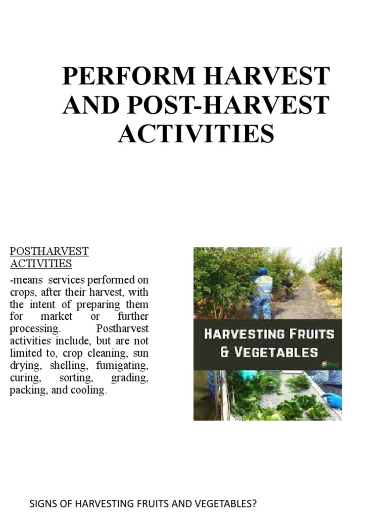 PERFORM HARVEST AND POST-HARVEST ACTIVITIES | PDF