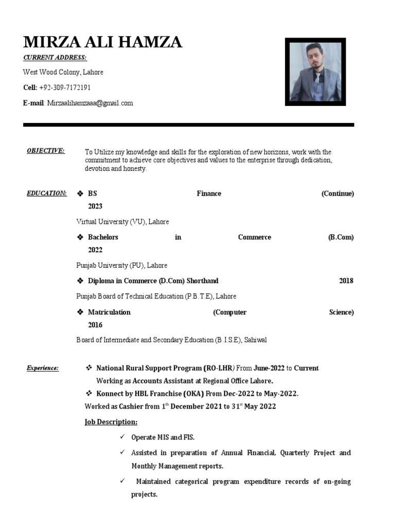 Mirza Ali Hamza (Finance) 1updated | PDF