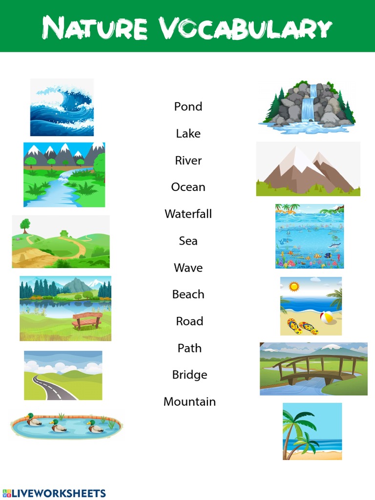 Nature Vocabulary for Kids | PDF