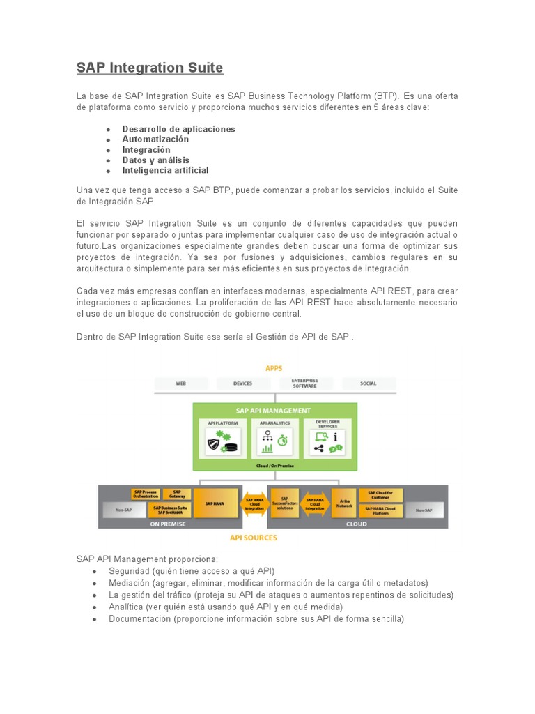 Sap Integration Suite | PDF