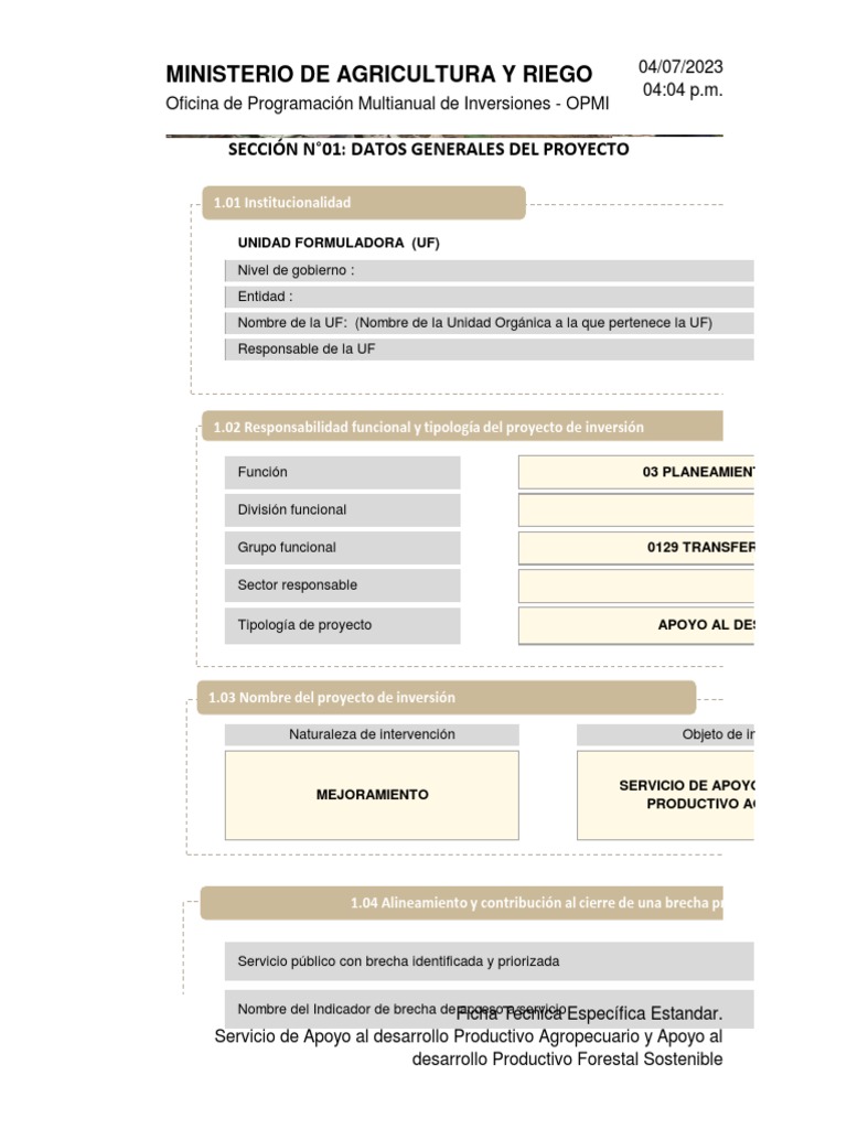 Ficha Tecnica Estandar | PDF