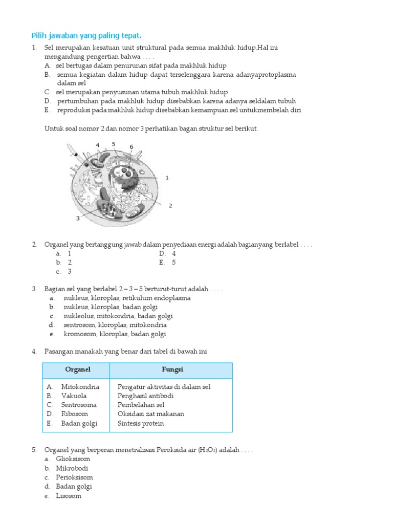 Soal Sel (1) Kelas Xi | PDF