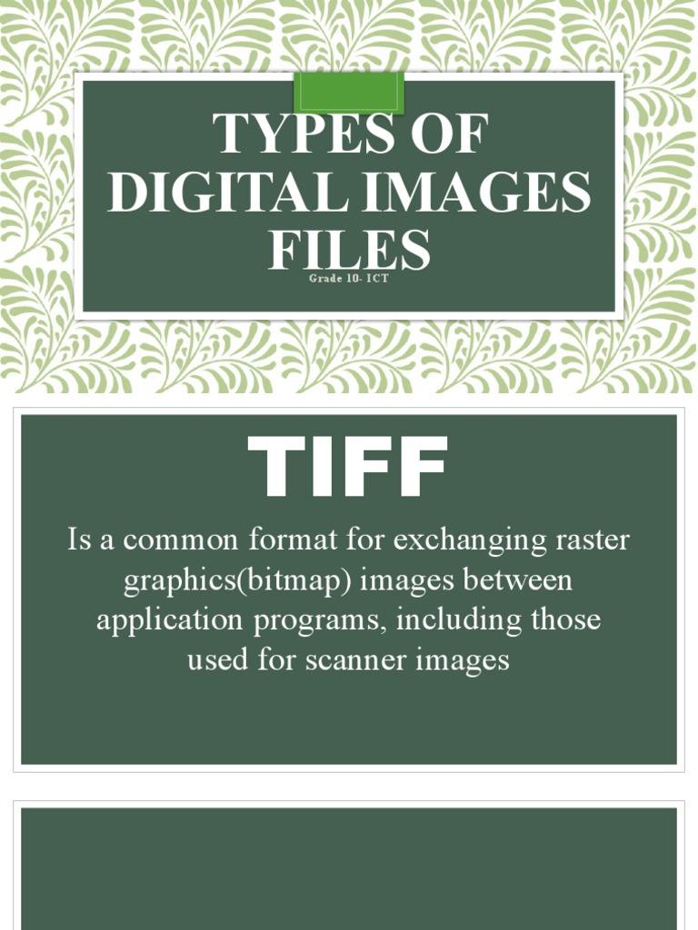 Types of Digital Images Files | PDF | Art | Computers