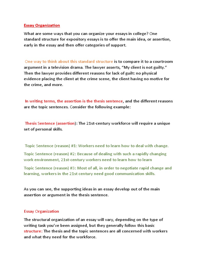 Essay Organization | PDF