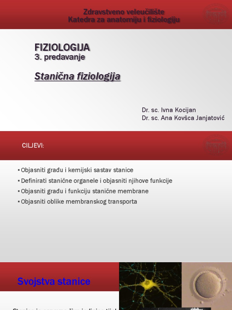 2 stanicna fiziologija | PDF