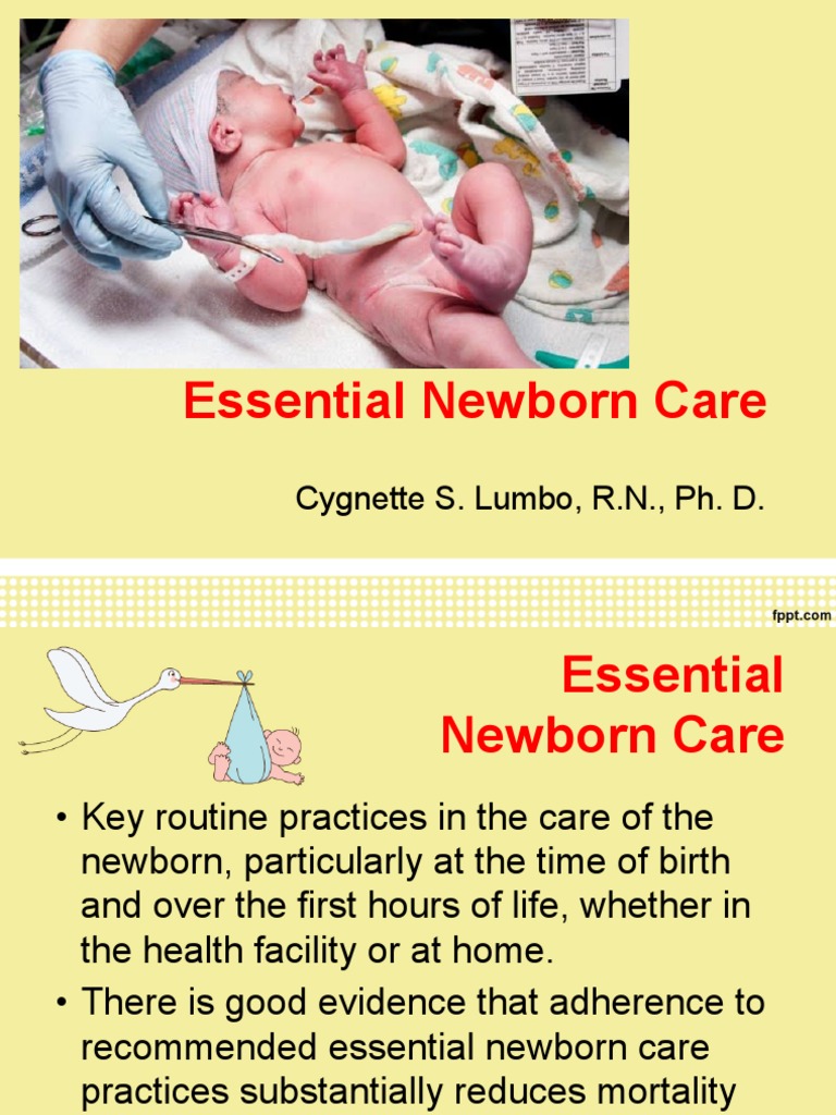 Essential Newborn Care | PDF