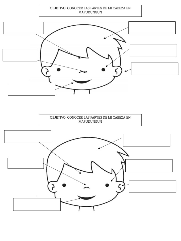 Lengua Indigena (ESCRIBE LAS PARTES DEL ROSTRO EN MAPUDUNGUN) | PDF