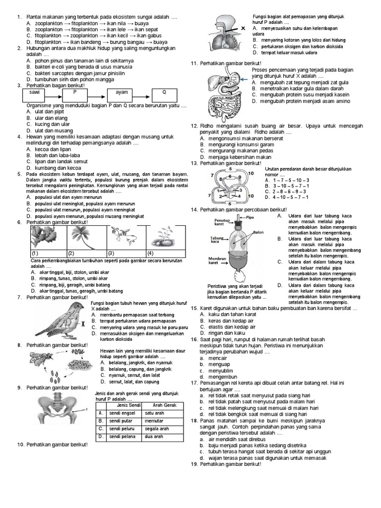 IPA 2 (10) Edit | PDF