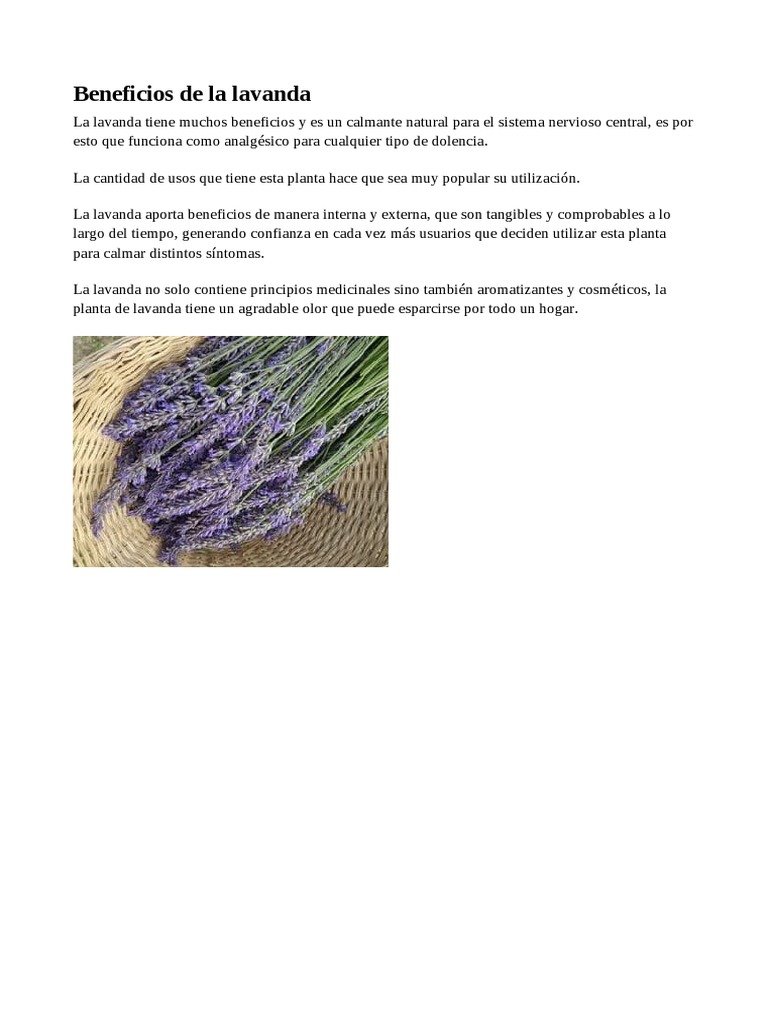 Beneficios de La Lavanda | PDF