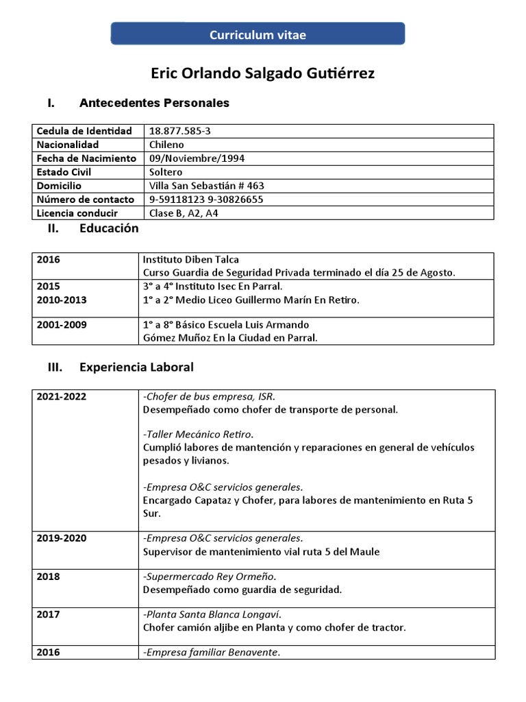 Curriculum Eric Salgado | PDF