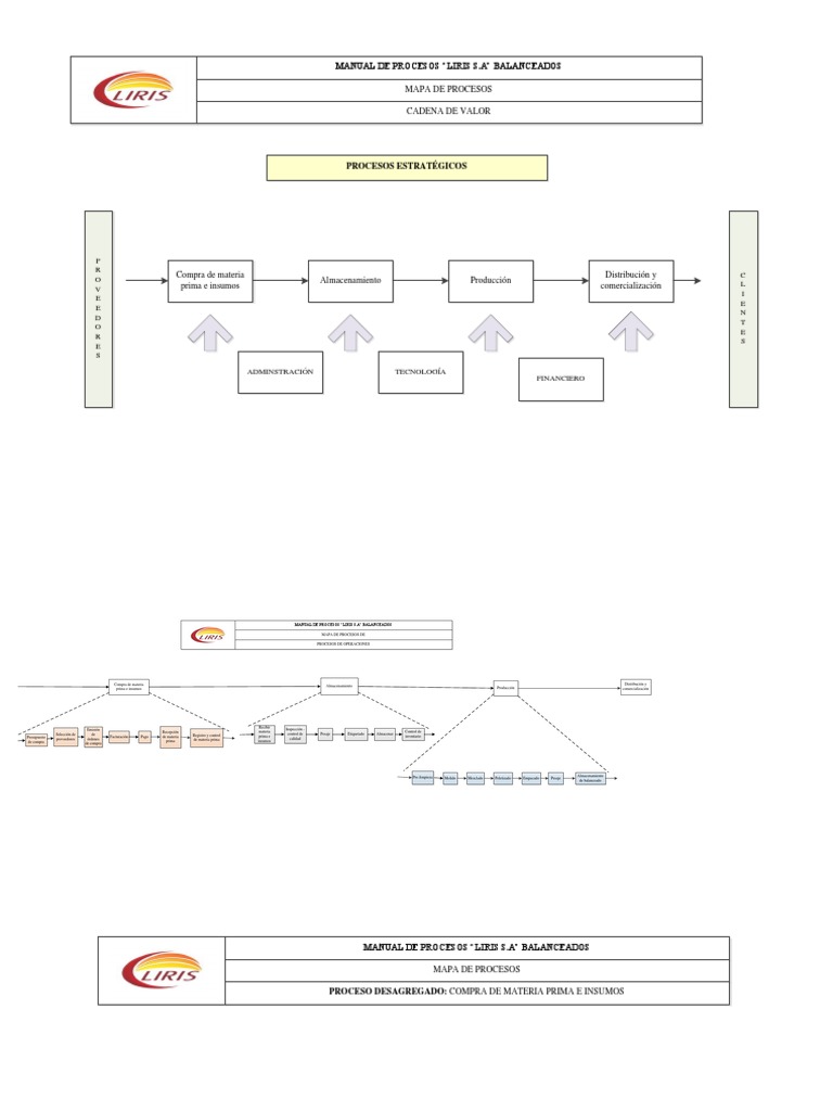 Manual de Procesos | PDF