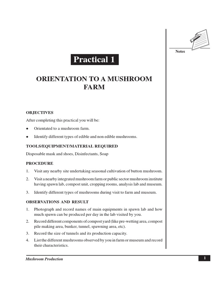 Practical Manual | PDF