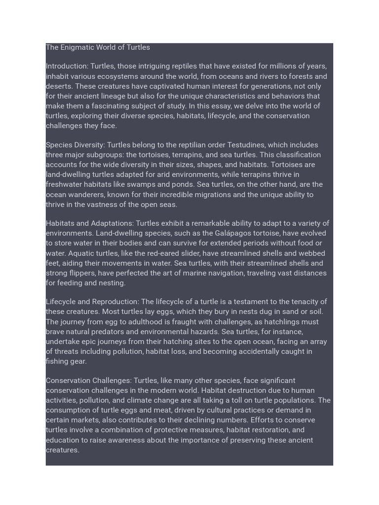 The Enigmatic World of Turtles | PDF | Turtle | Sea Turtle
