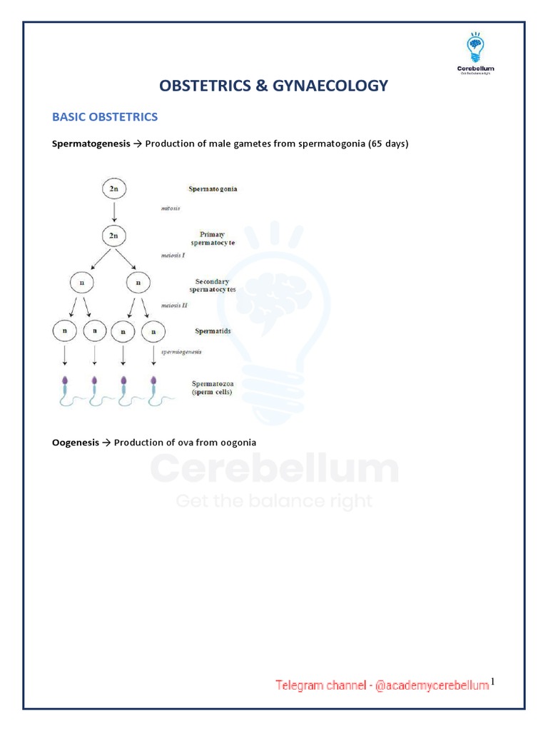 ObsGyn RR @academycerebellum | PDF | Pregnancy | Clinical Medicine
