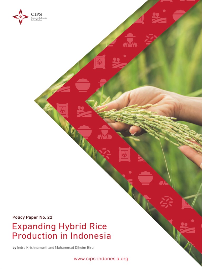 Hybrid Rice in Indonesia | PDF