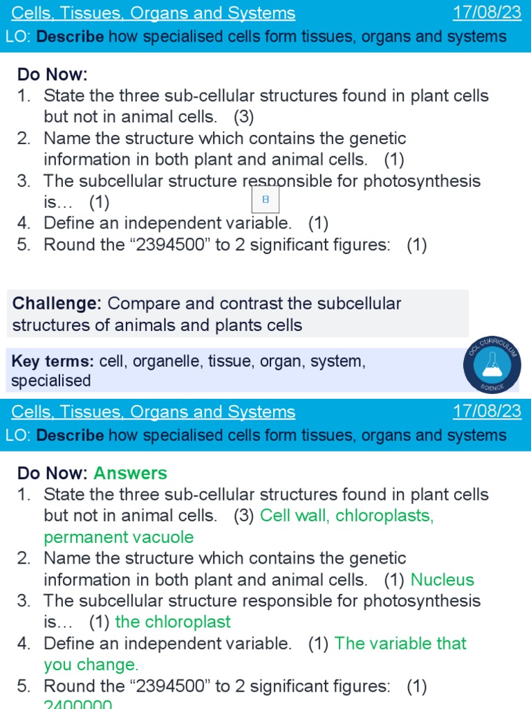 Y8 - Term 6 WK 2 Tuesday - Lesson 4 - Science - Cells, Tissues, Organs ...