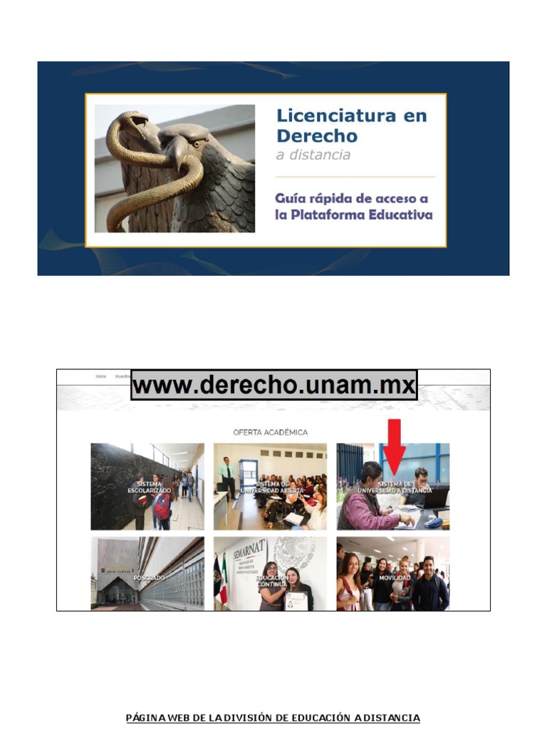 Guia Rapida Acceso Plataforma DED 2024-1 (ESC) | PDF