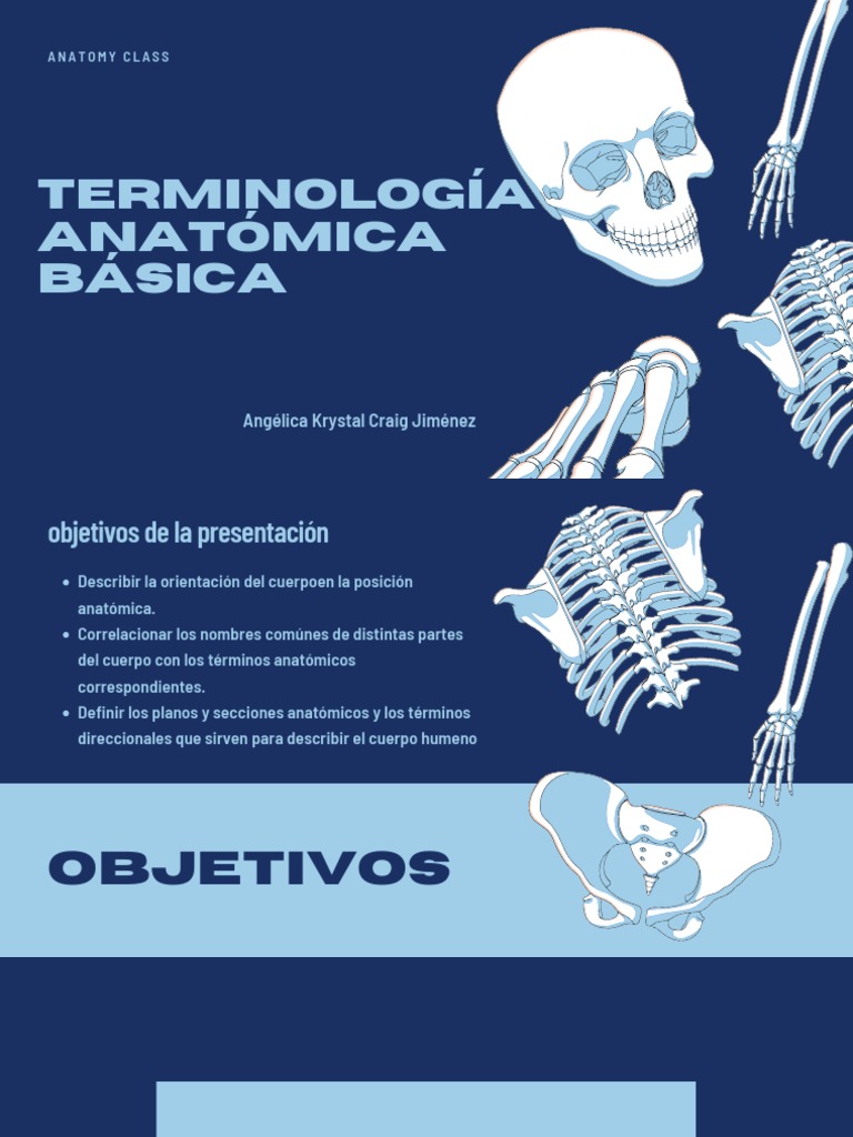 Terminología Anatómica Básica | PDF