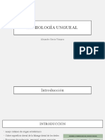 Guía sobre Cromoniquia y Alteraciones Ungueales | PDF | Clavo (anatomía ...