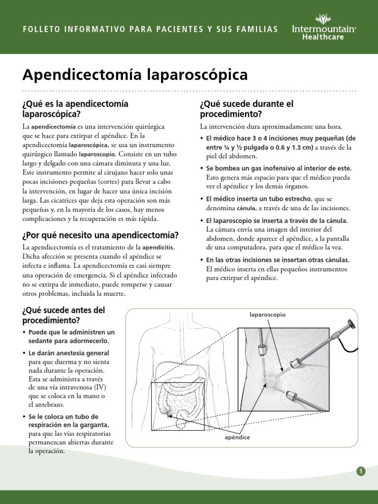 Laparoscopic Appendectomy (Appendix Removal) Fact Sheet Spanish | PDF