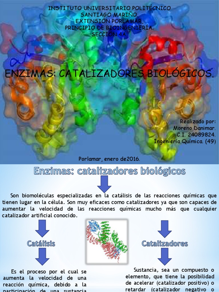 Enzimas: Catalizadores Biológicos | PDF | Enzima | Catálisis