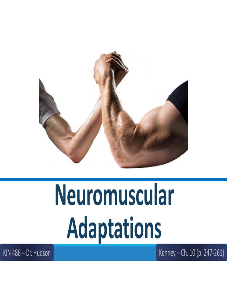 Ch. 10 - Adaptations To Resistance Training | PDF